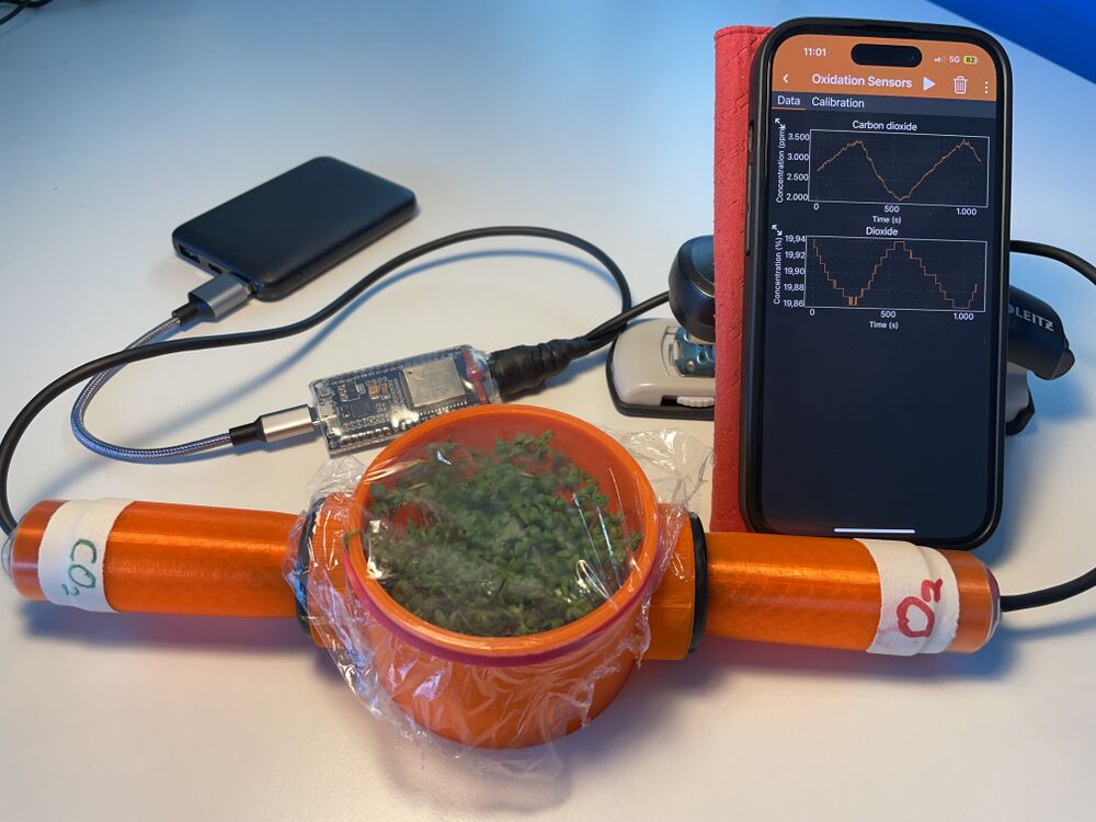 Oxidation (Photosynthese) - phyphox